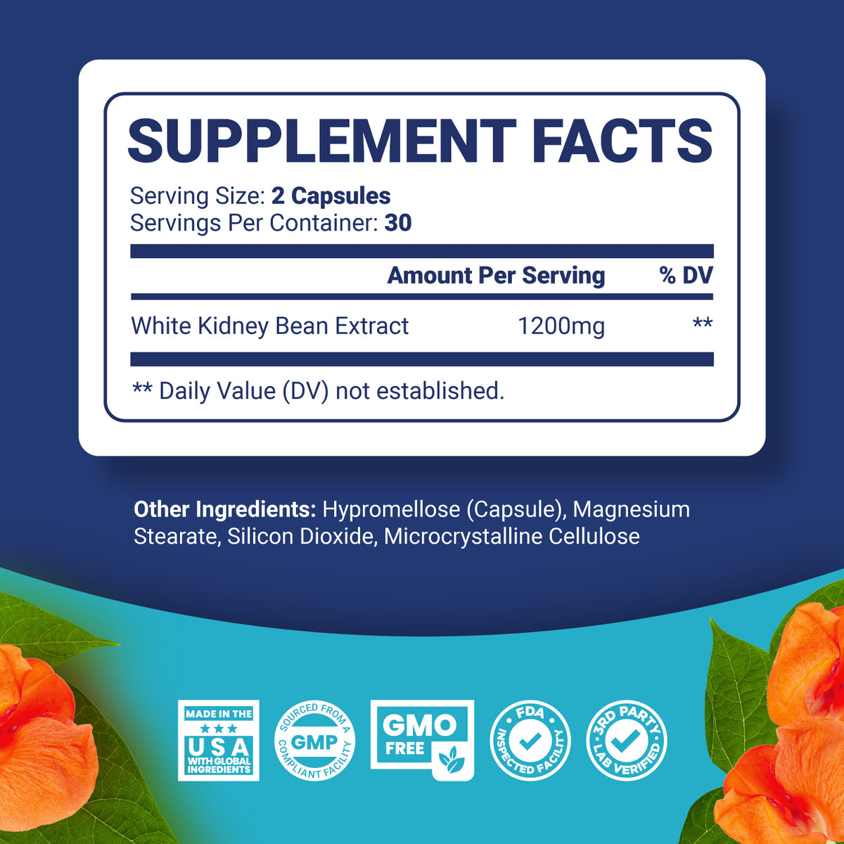 White Kidney Bean Extract 1200mg per serving - 60 Capsules – Phytoral ...